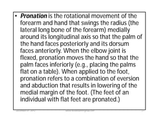 Anatomicomedical terminology ppt -by- Bitew | PDF