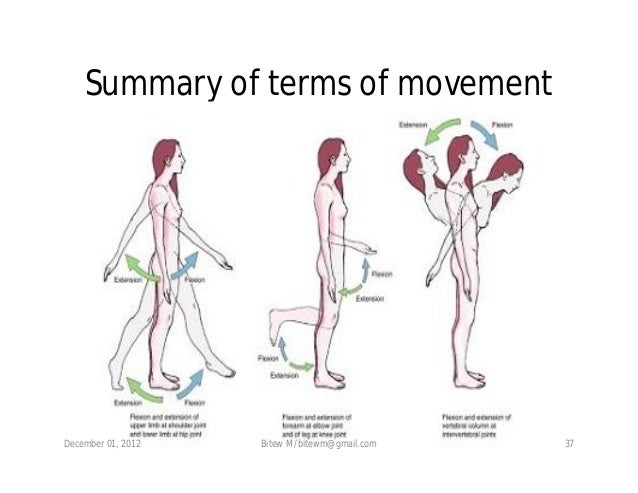 Anatomicomedical terminology ppt-1 by bitew m