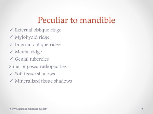 Anatomic radiopacities / dental implant courses | PPT