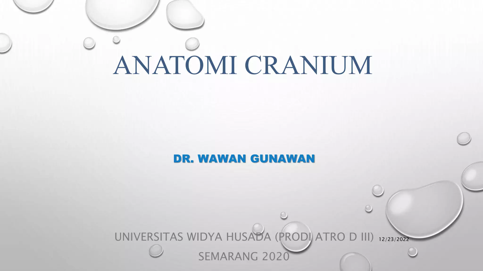 Anatomi Cranium.pptx