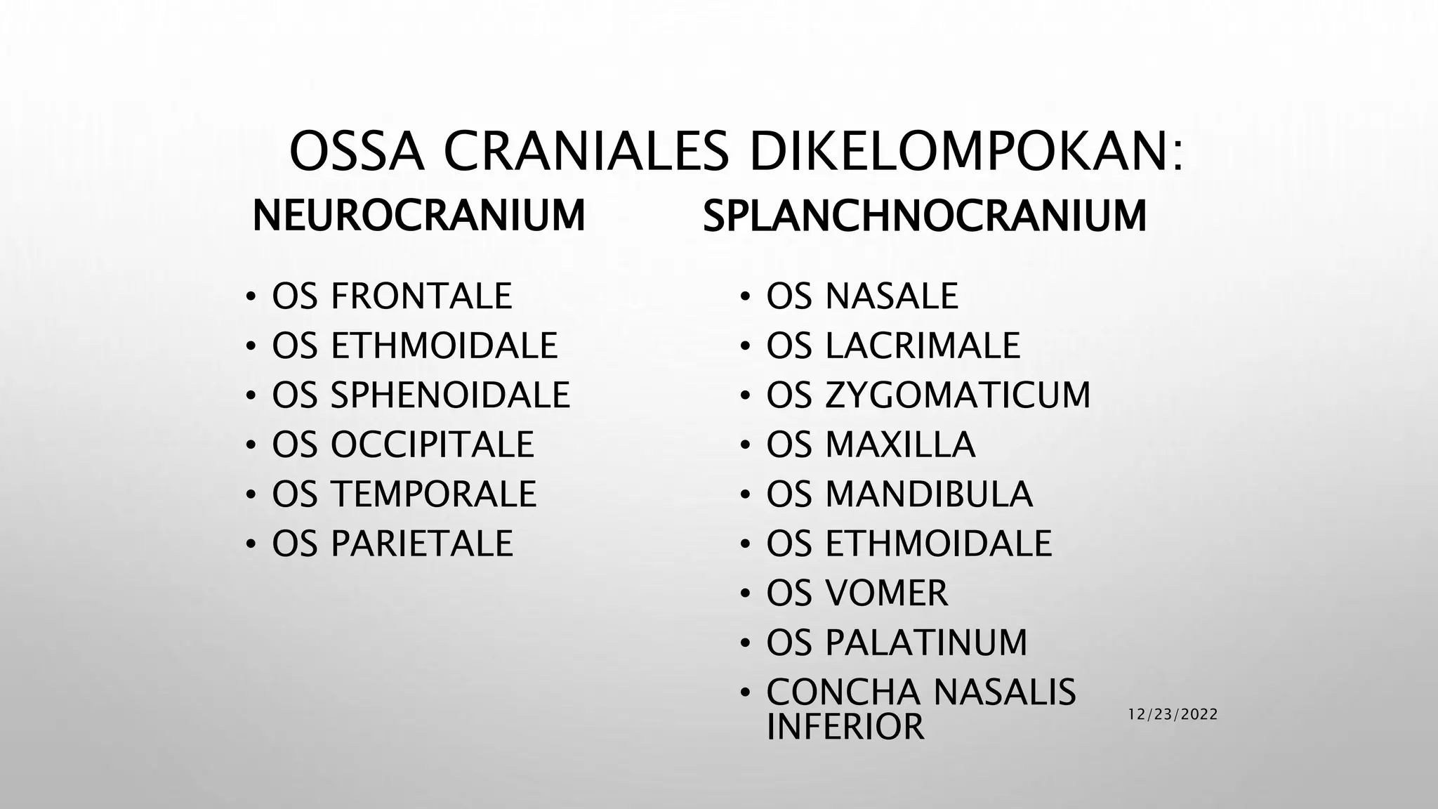 Anatomi Cranium.pptx