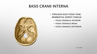 Anatomi Cranium.pptx