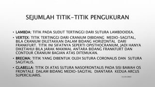 Anatomi Cranium.pptx