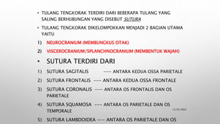 Anatomi Cranium.pptx