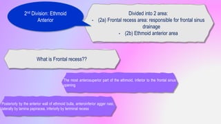 anatomi based on CT scan sinus paranasal imaging | PPTX