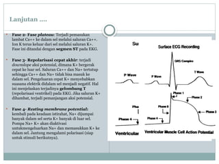 ANATOMI DAN ELEKTROFISIOLOGI JANTUNG TUGUREJO.ppt