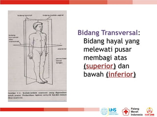 Materi ANATOMI DAN FAAL dasar pada pertolongan pertamapptx | PPTX