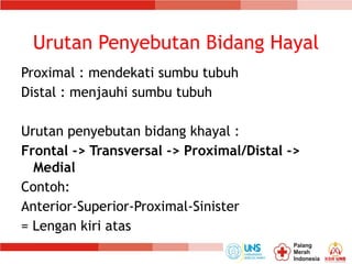 Materi ANATOMI DAN FAAL dasar pada pertolongan pertamapptx | PPTX