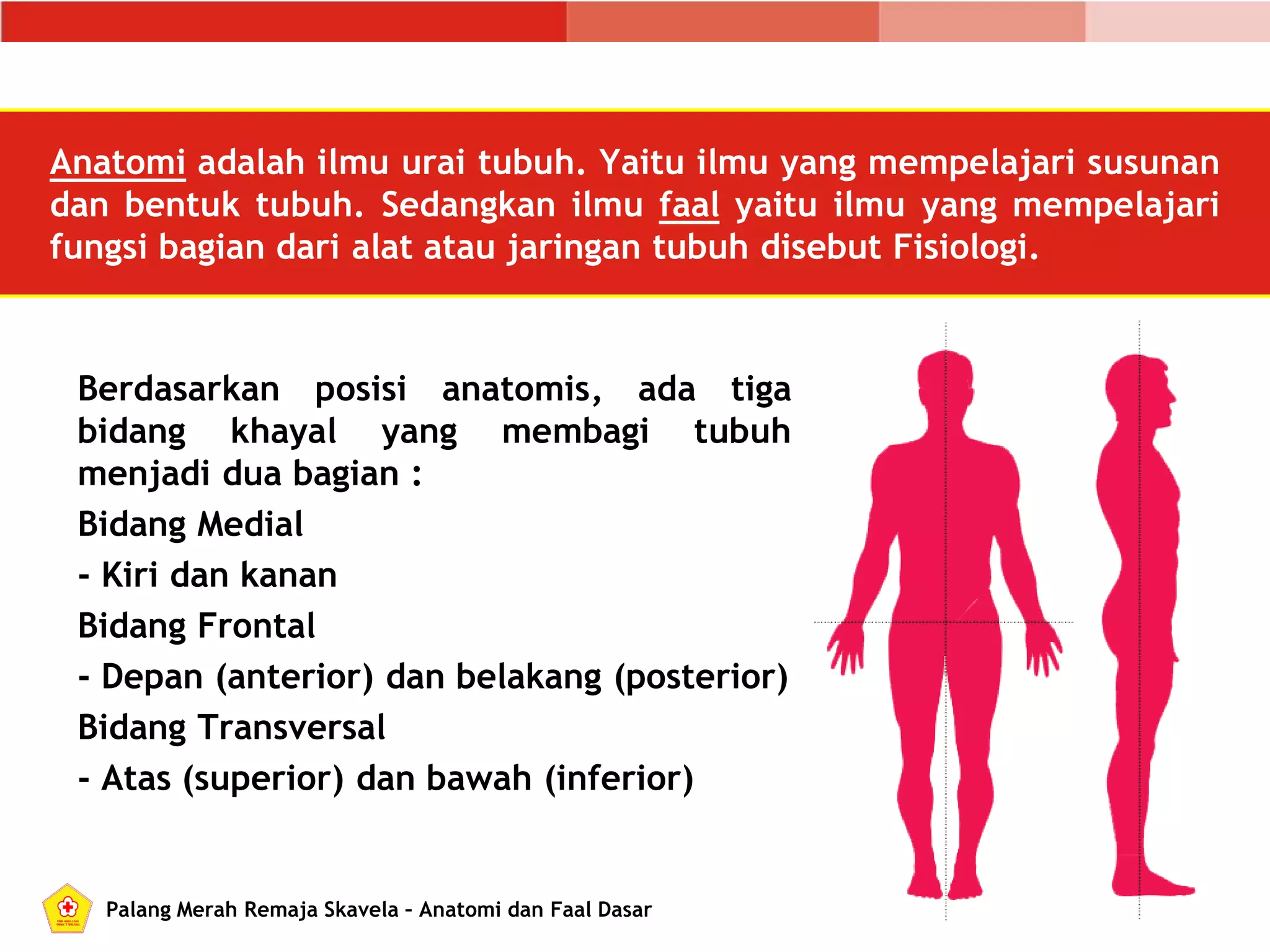 Anatomi dan Faal Dasar.pdf