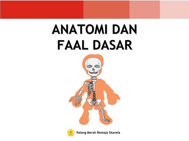 Anatomi dan Faal Dasar.pdf