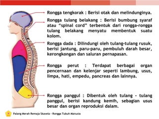 Anatomi dan Faal Dasar.pdf