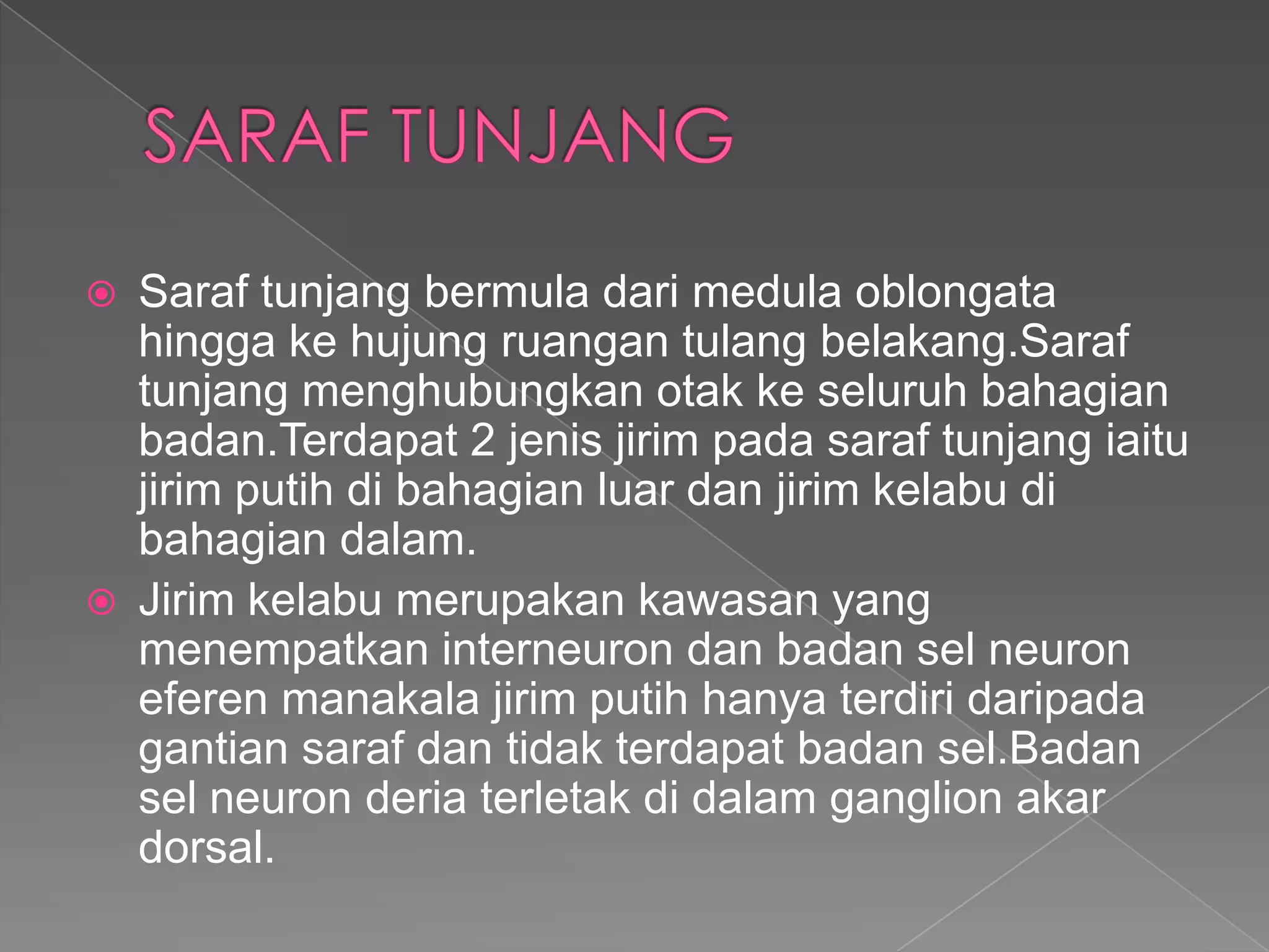 Anatomi dan fisiologi | PPTX