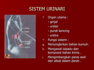 Anatomi dan fisiologi | PPT