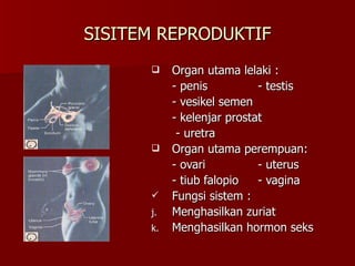 Anatomi dan fisiologi | PPT