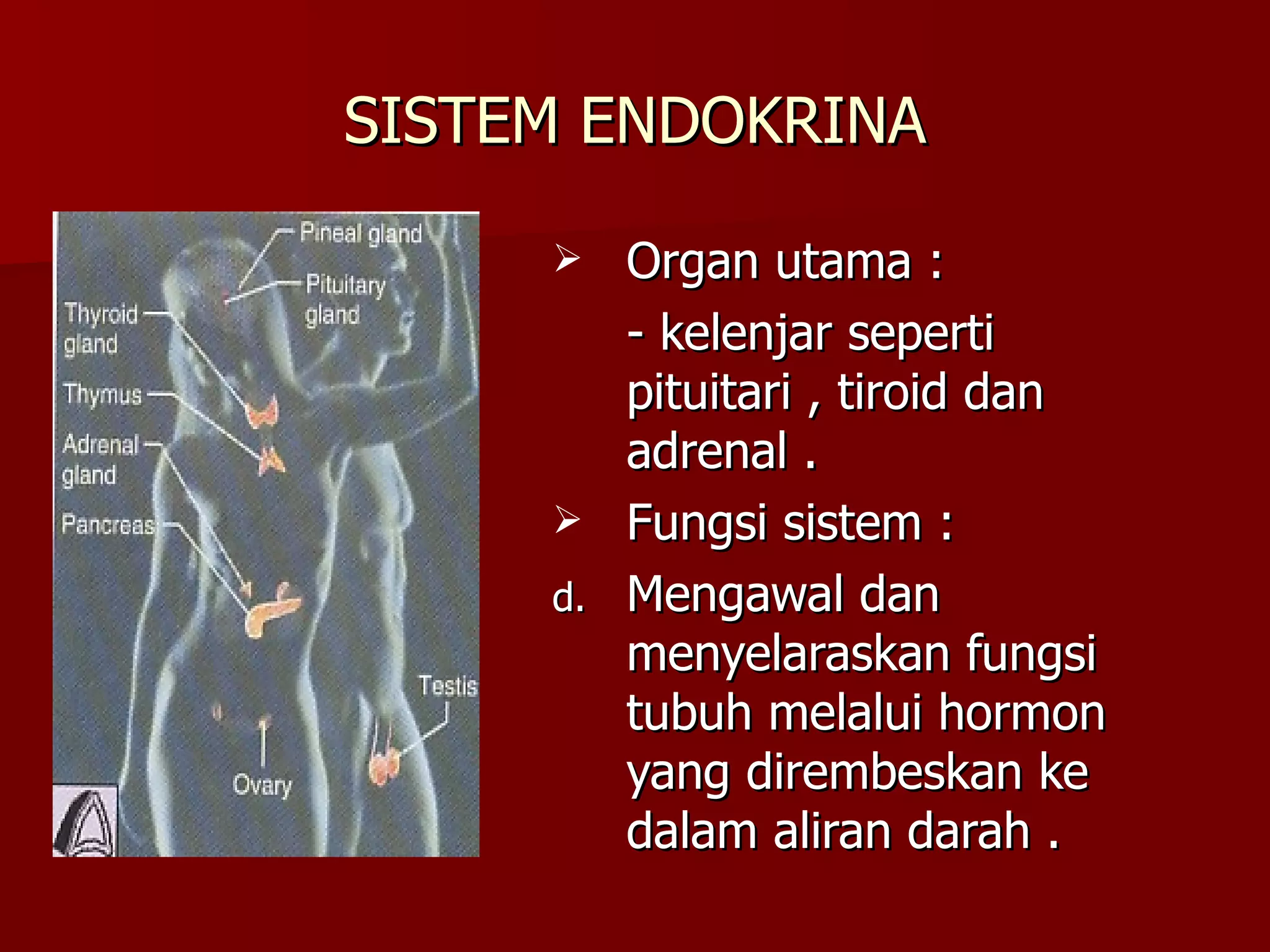 Anatomi dan fisiologi | PPT