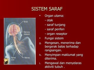Anatomi dan fisiologi | PPT