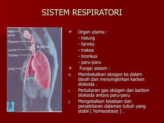 Anatomi dan fisiologi | PPT