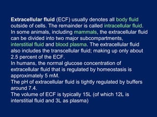 Anatomi dan fisiologi | PPT