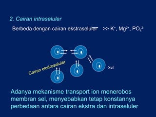 Anatomi dan fisiologi | PPT