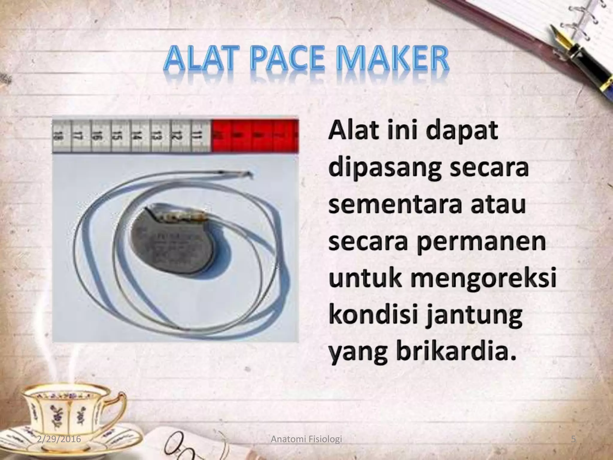 Anatomi dan fisiologi Pacemaker Jantung,Mekanisme Kontraksi,Siklus ...