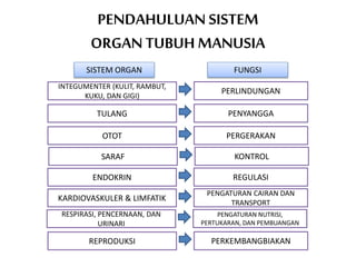 Anatomi_dan_fisiologi.pptx