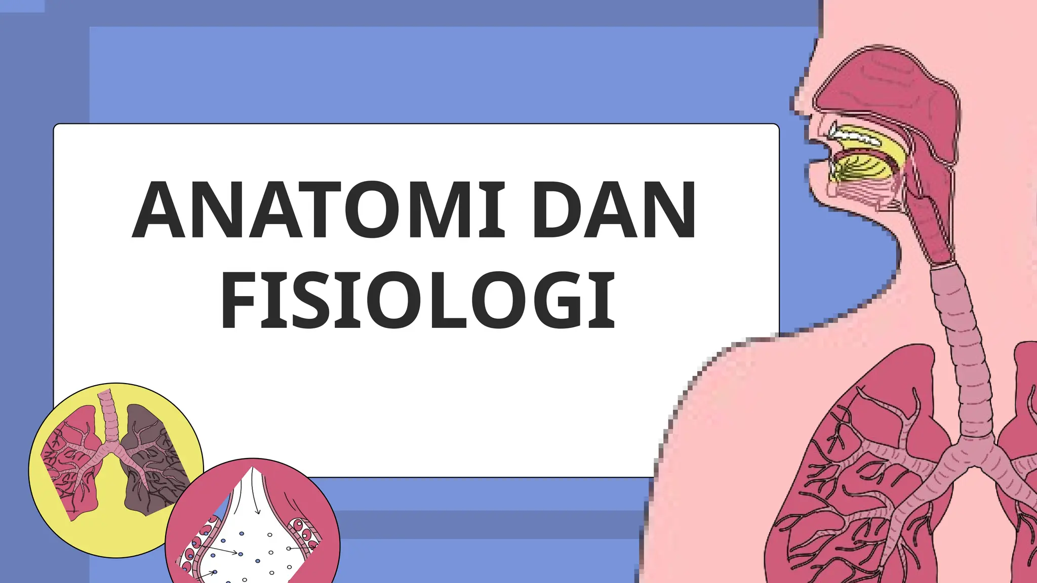 pengantar anatomi dan fisiologi tubuh manusia | PPTX