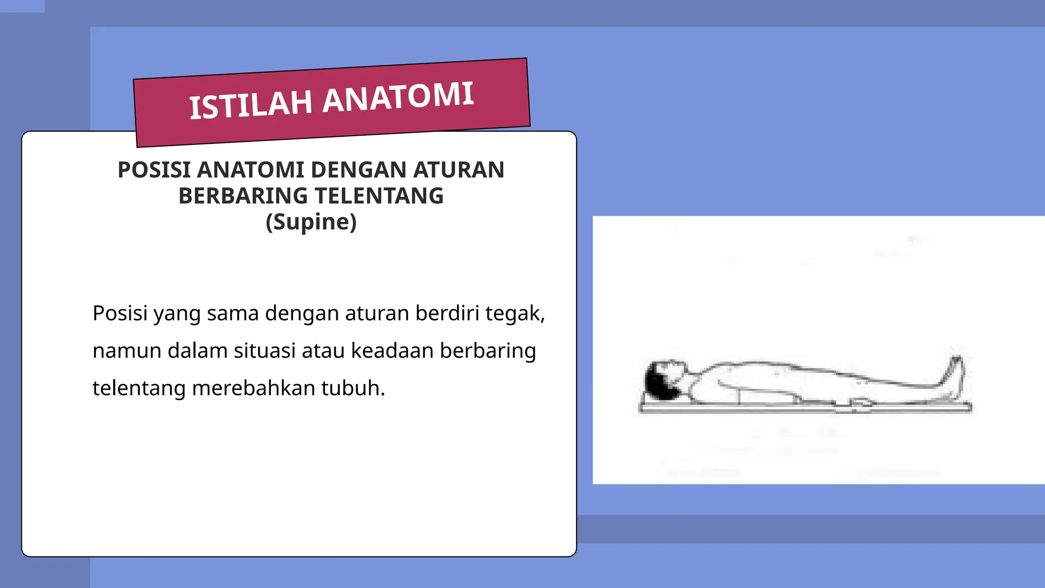 pengantar anatomi dan fisiologi tubuh manusia | PPTX
