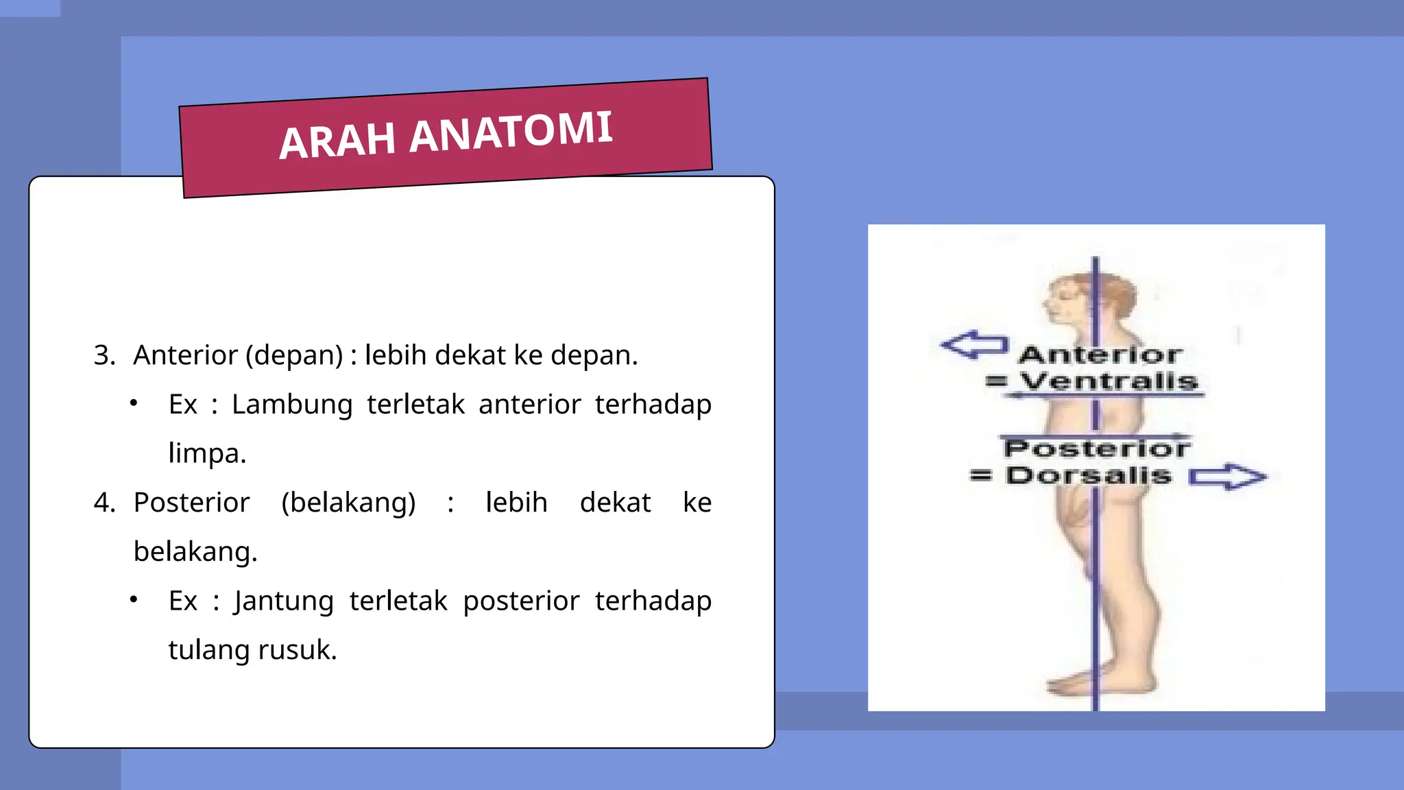 pengantar anatomi dan fisiologi tubuh manusia | PPTX