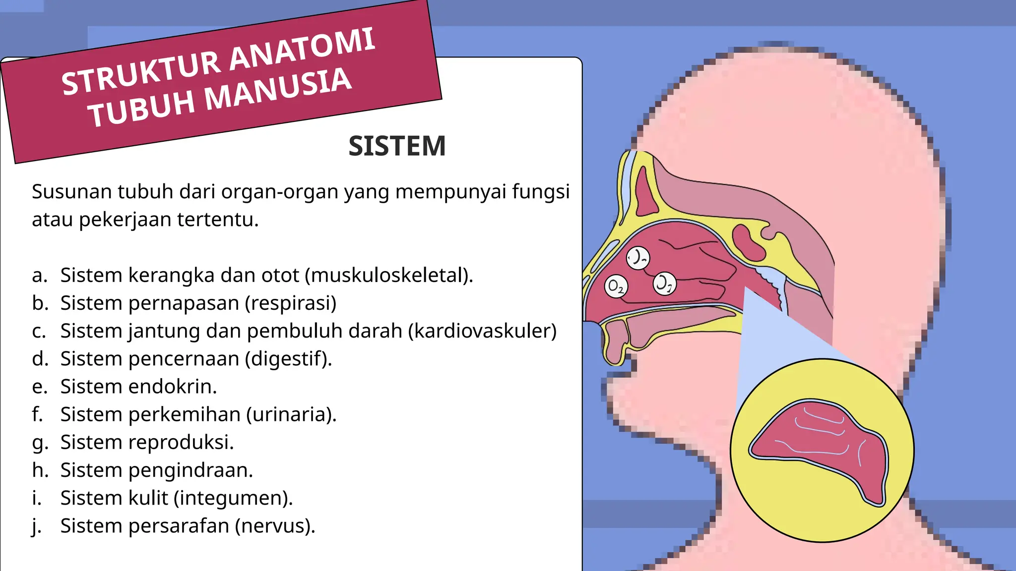 pengantar anatomi dan fisiologi tubuh manusia | PPTX