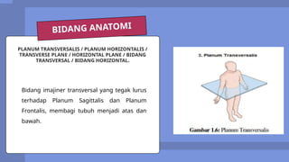 pengantar anatomi dan fisiologi tubuh manusia | PPTX