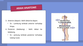 pengantar anatomi dan fisiologi tubuh manusia | PPTX