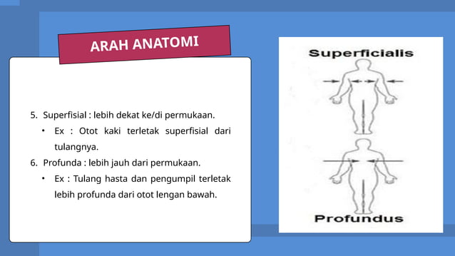 pengantar anatomi dan fisiologi tubuh manusia | PPTX