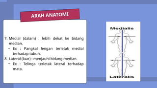 pengantar anatomi dan fisiologi tubuh manusia | PPTX
