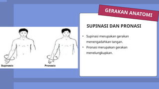 pengantar anatomi dan fisiologi tubuh manusia | PPTX