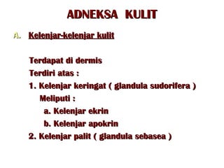 Anatomi dan fisiologi | PPT