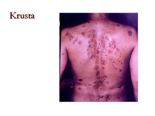 Anatomi dan fisiologi | PPT