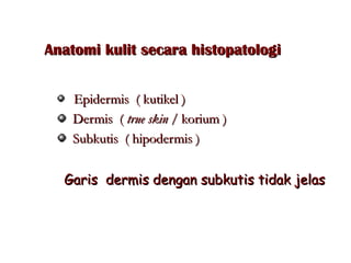 Anatomi dan fisiologi | PPT