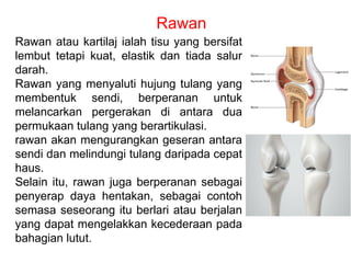 anatomi dan fisiologi 6.4 (Sistem Rangka) .pptx