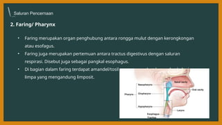 Anatomi dan Fisiologi 6-Sistem Pencernaan.ppt