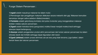 Anatomi dan Fisiologi 6-Sistem Pencernaan.ppt