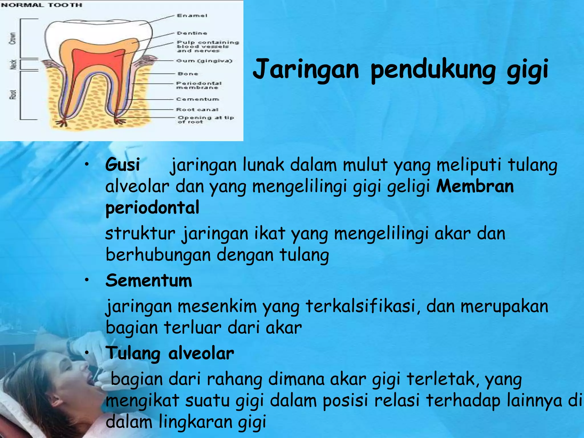 Anatomi dan Fisiologi GIGI.ppt
