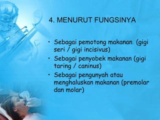 Anatomi dan Fisiologi GIGI.ppt