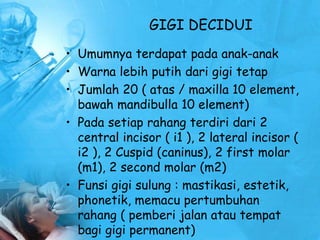 Anatomi dan Fisiologi GIGI.ppt