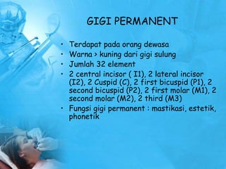 Anatomi dan Fisiologi GIGI.ppt