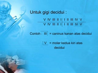 Anatomi dan Fisiologi GIGI.ppt