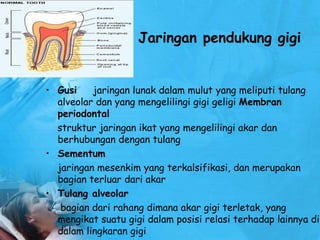 Anatomi dan Fisiologi GIGI.ppt