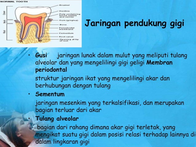 Anatomi dan Fisiologi GIGI.ppt