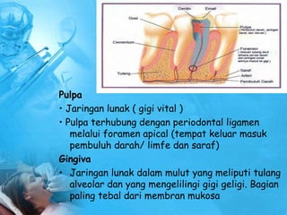 Anatomi dan Fisiologi GIGI.ppt
