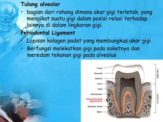 Anatomi dan Fisiologi GIGI.ppt