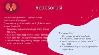 Materi Anatomi dan fisiologi ginjal (1).pptx